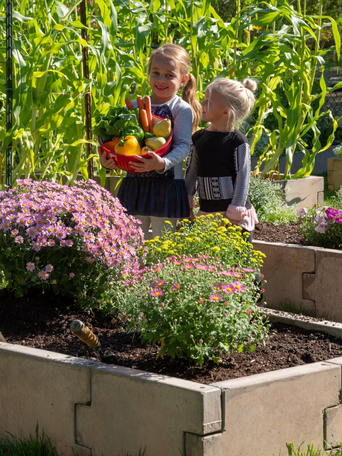 Everlasting Garden – The forever garden